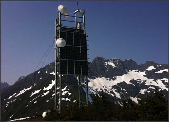 Support Local Business